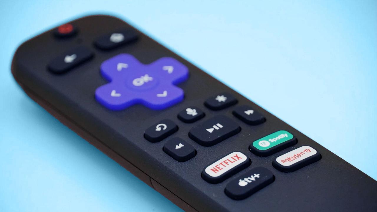 Review: Roku is the Perfect Streamer - Sonic