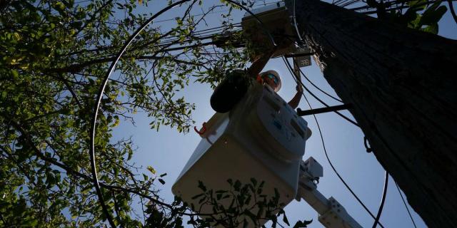 Company News and Press Releases – Sonic